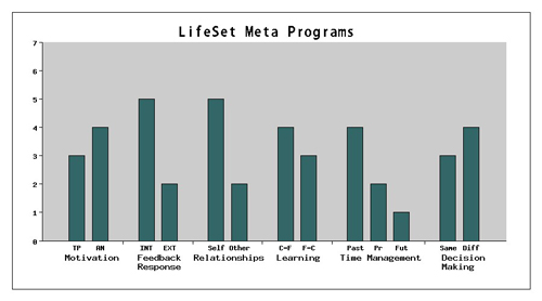 LifeSet Meta Programs Survey